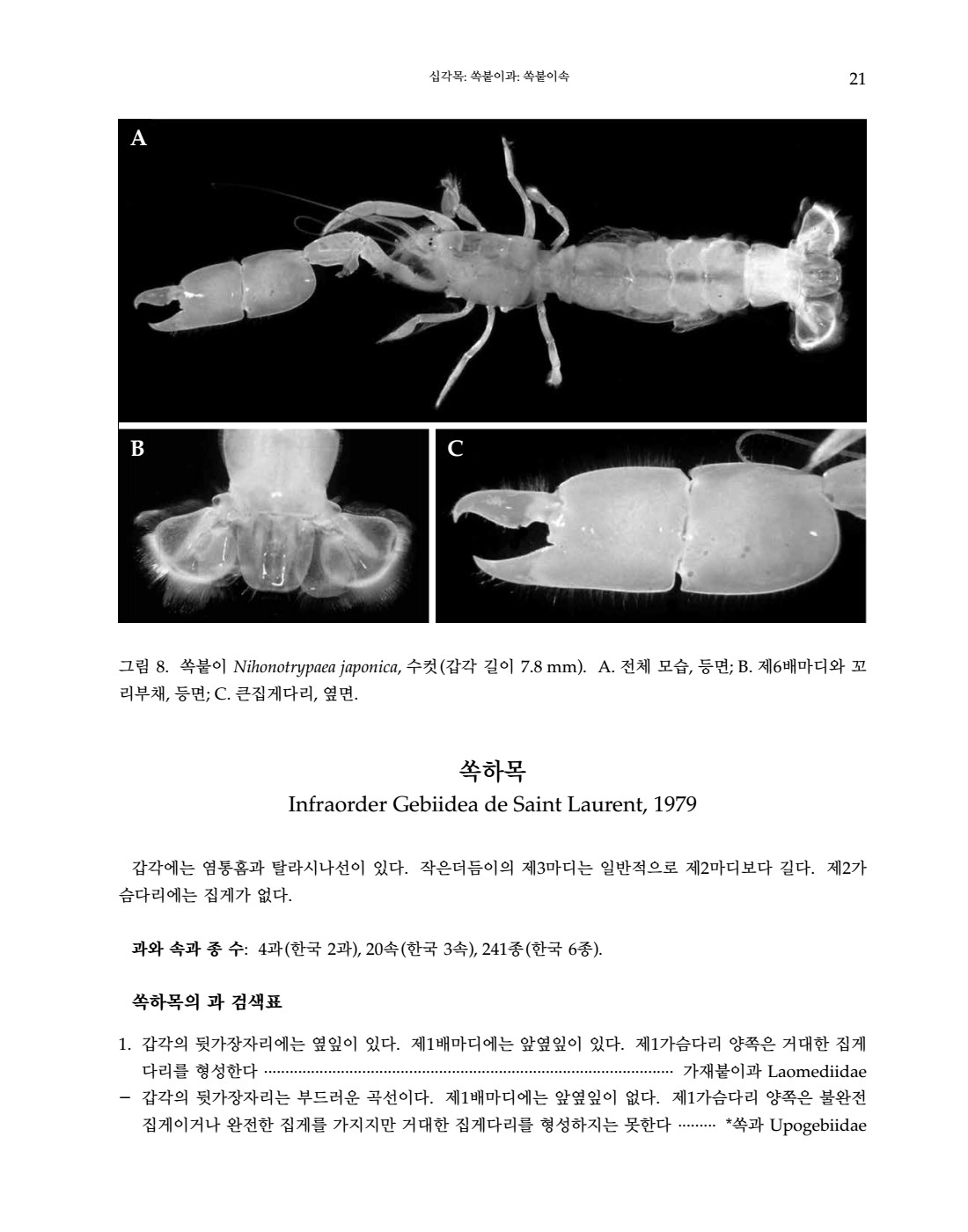 한국의 무척추동물, 제21권 43호 : 집게류 II(절지동물문: 연갑강: 십각목: 가재아재비과, 쏙붙이과, 쑥과)