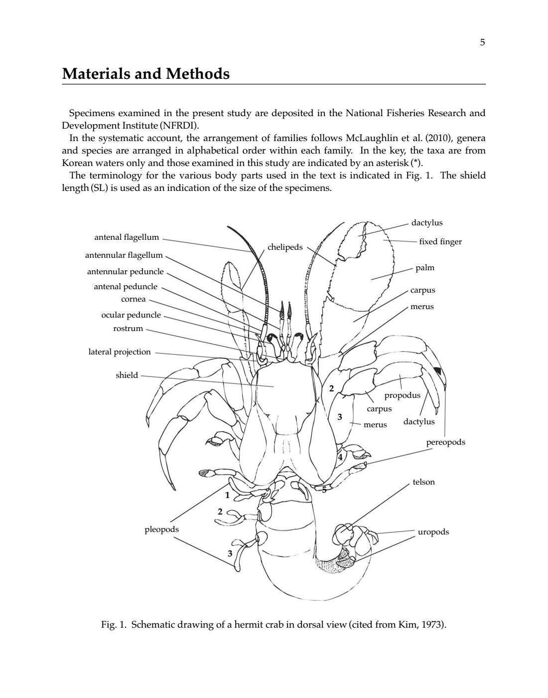 Malacostraca Diagram